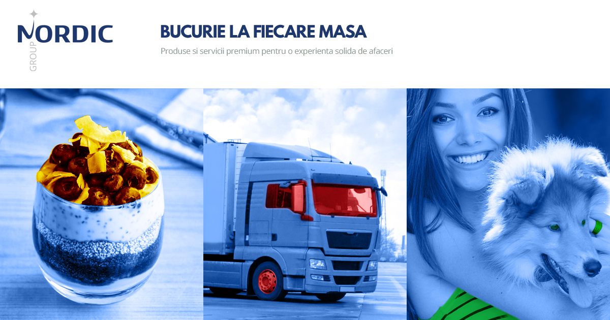 Nordic Group - Despre Noi
